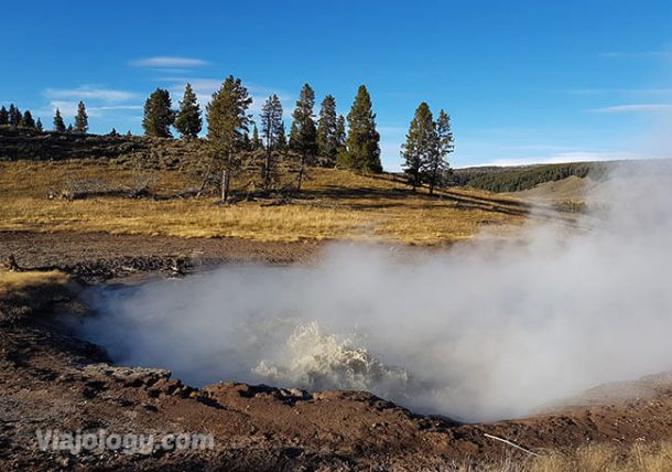 Guía para Visitar YELLOWSTONE por tu cuenta - Viajology.com